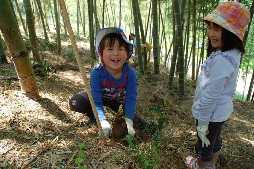 元お茶農家さん家の一棟貸し古民家宿＆脇屋wakiya　リモートワークにもおススメ！の写真17