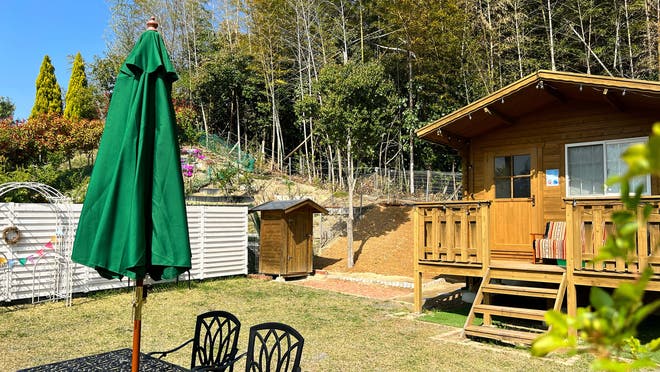 ★ワンちゃんも大喜び★完全貸切60坪で広々!貸切ドッグラン&6畳ログハウスの写真8