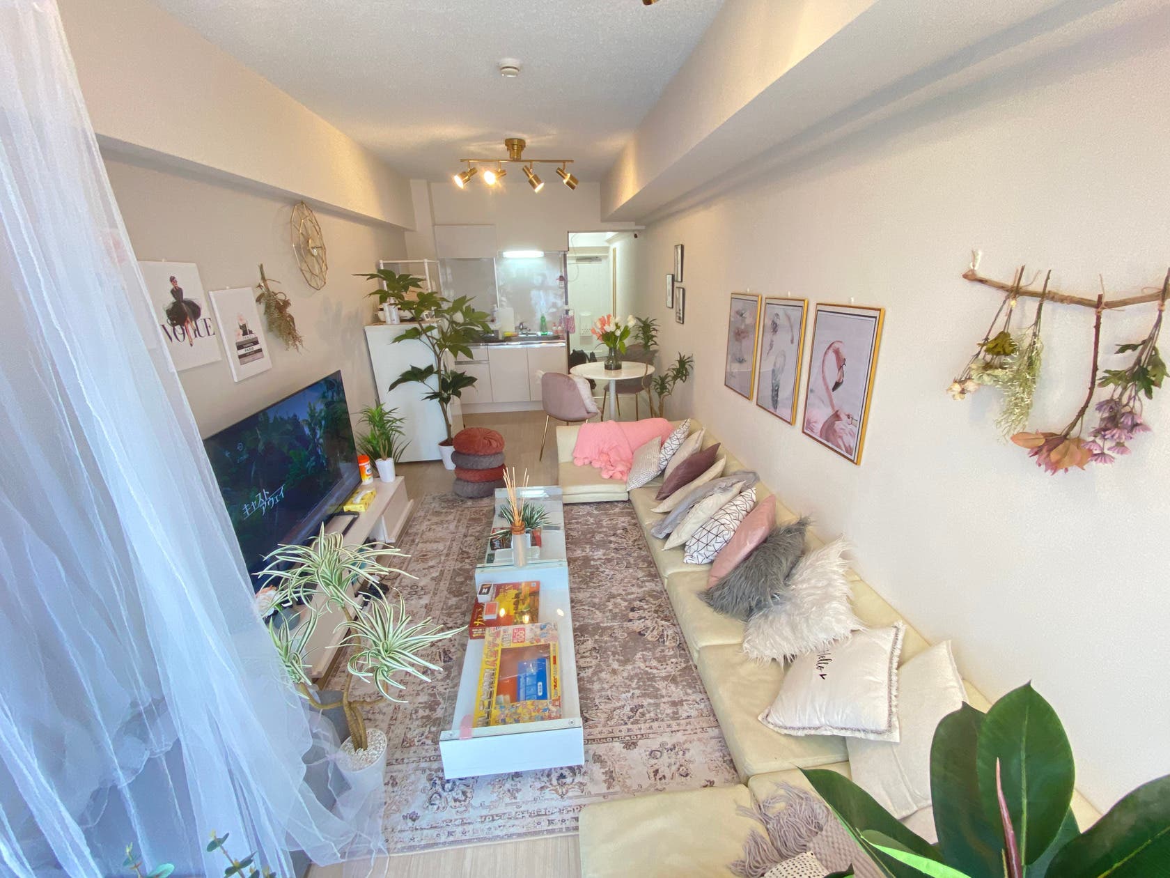 🌸学割🌸#コントGoburin🩰【東新宿/大久保🦩】東新宿駅2分✨Blu-rayの写真5