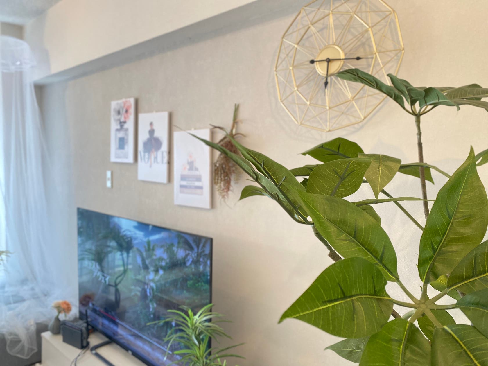 🌸学割🌸#コントGoburin🩰【東新宿/大久保🦩】東新宿駅2分✨Blu-rayの写真9