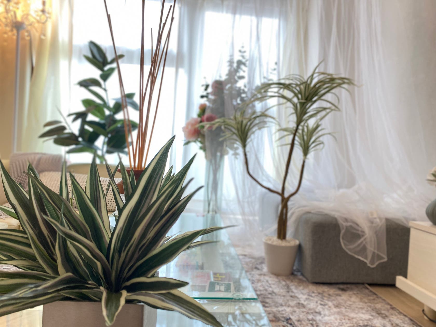 🌸学割🌸#コントGoburin🩰【東新宿/大久保🦩】東新宿駅2分✨Blu-rayの写真11