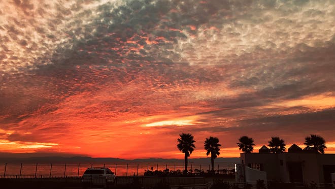 知多半島のラグジュアリーな貸別荘 近場でリゾートなセレブな時間を。BBQができるガーデン付。 日帰り利用の写真3