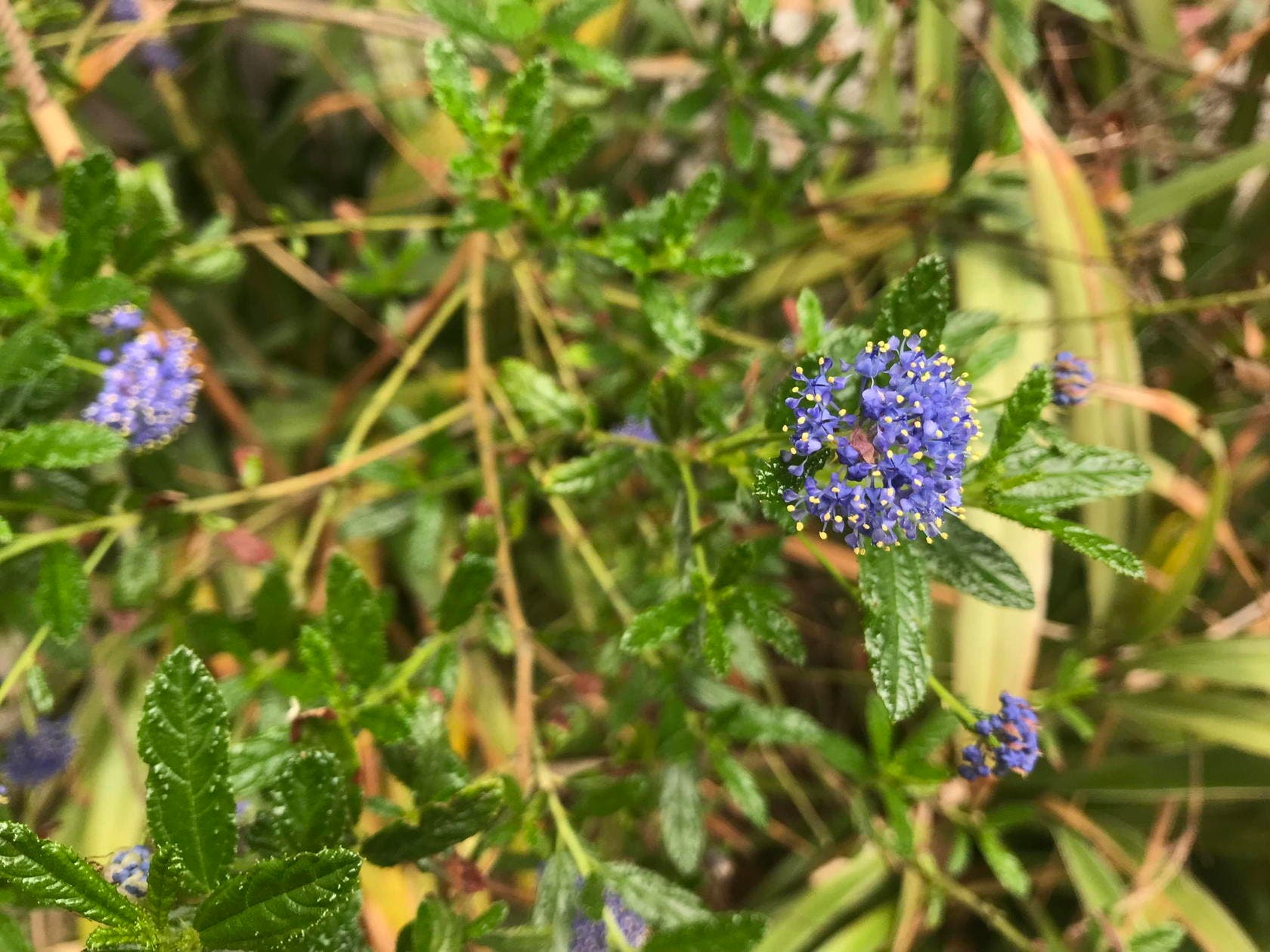 呉服屋の奥座敷を鎌倉へ移築。静かな谷戸で130年の時を慈しむ。の写真16