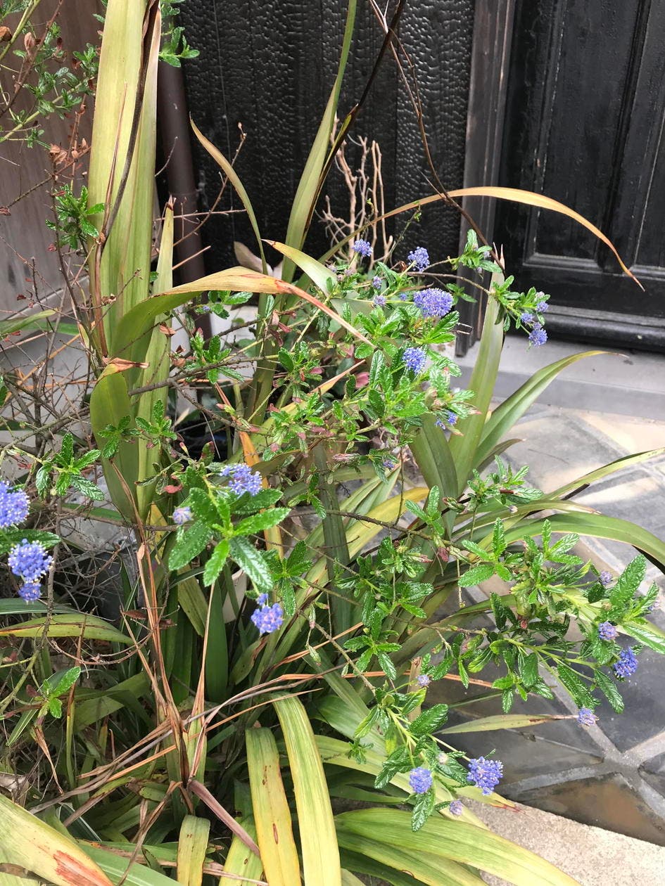 呉服屋の奥座敷を鎌倉へ移築。静かな谷戸で130年の時を慈しむ。の写真17