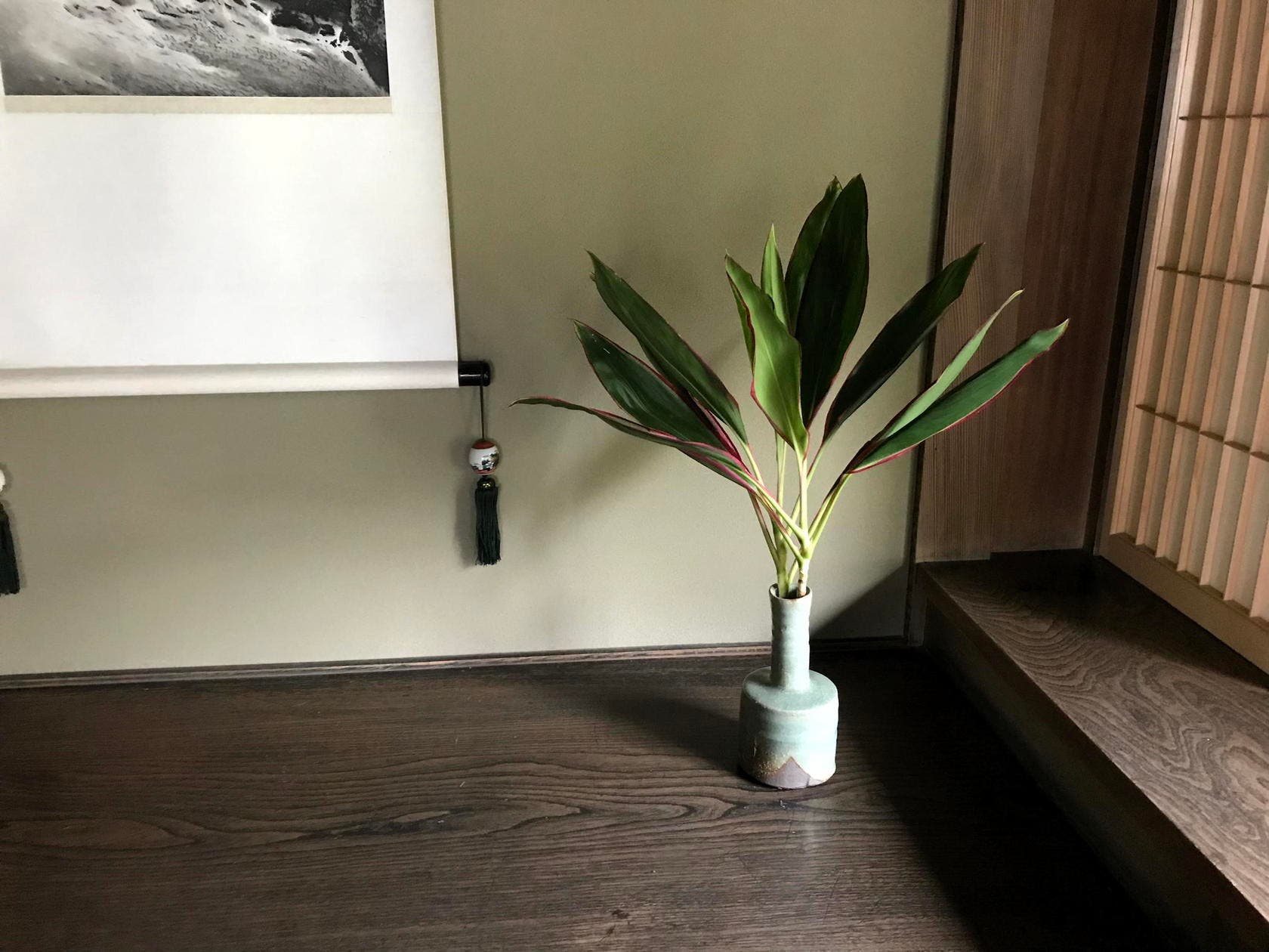 呉服屋の奥座敷を鎌倉へ移築。静かな谷戸で130年の時を慈しむ。の写真5