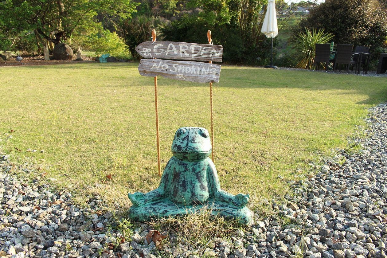 【アウトドアスペース】8x10Mの芝生で小鳥の囀りをBGMにヨガ・ダンス・トレーニング 撮影 PVに！の写真5