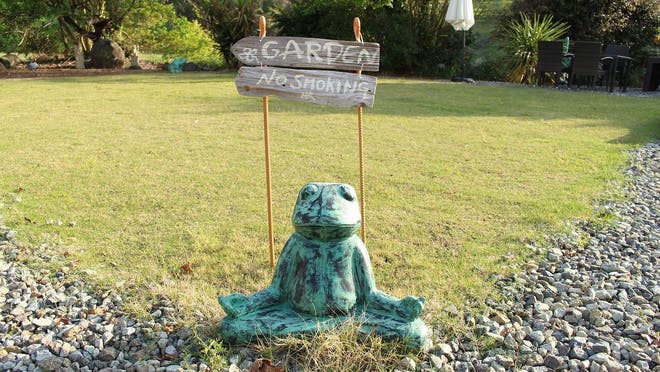 【アウトドアスペース】8x10Mの芝生で小鳥の囀りをBGMにヨガ・ダンス・トレーニング 撮影 PVに!の写真5