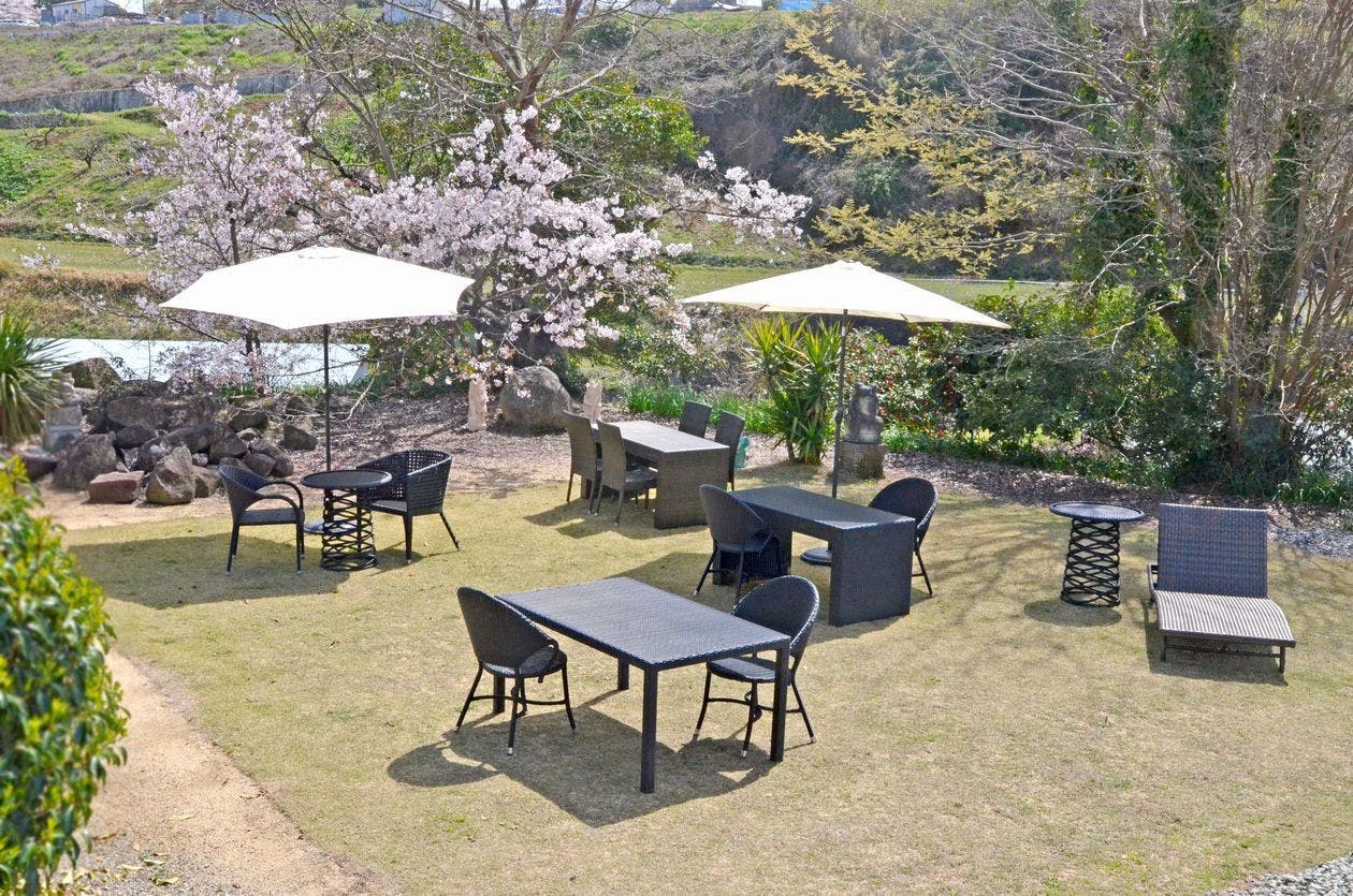 【アウトドアスペース】8x10Mの芝生で小鳥の囀りをBGMにヨガ・ダンス・トレーニング 撮影 PVに！の写真7