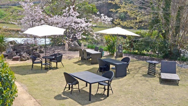 【アウトドアスペース】8x10Mの芝生で小鳥の囀りをBGMにヨガ・ダンス・トレーニング 撮影 PVに!の写真7