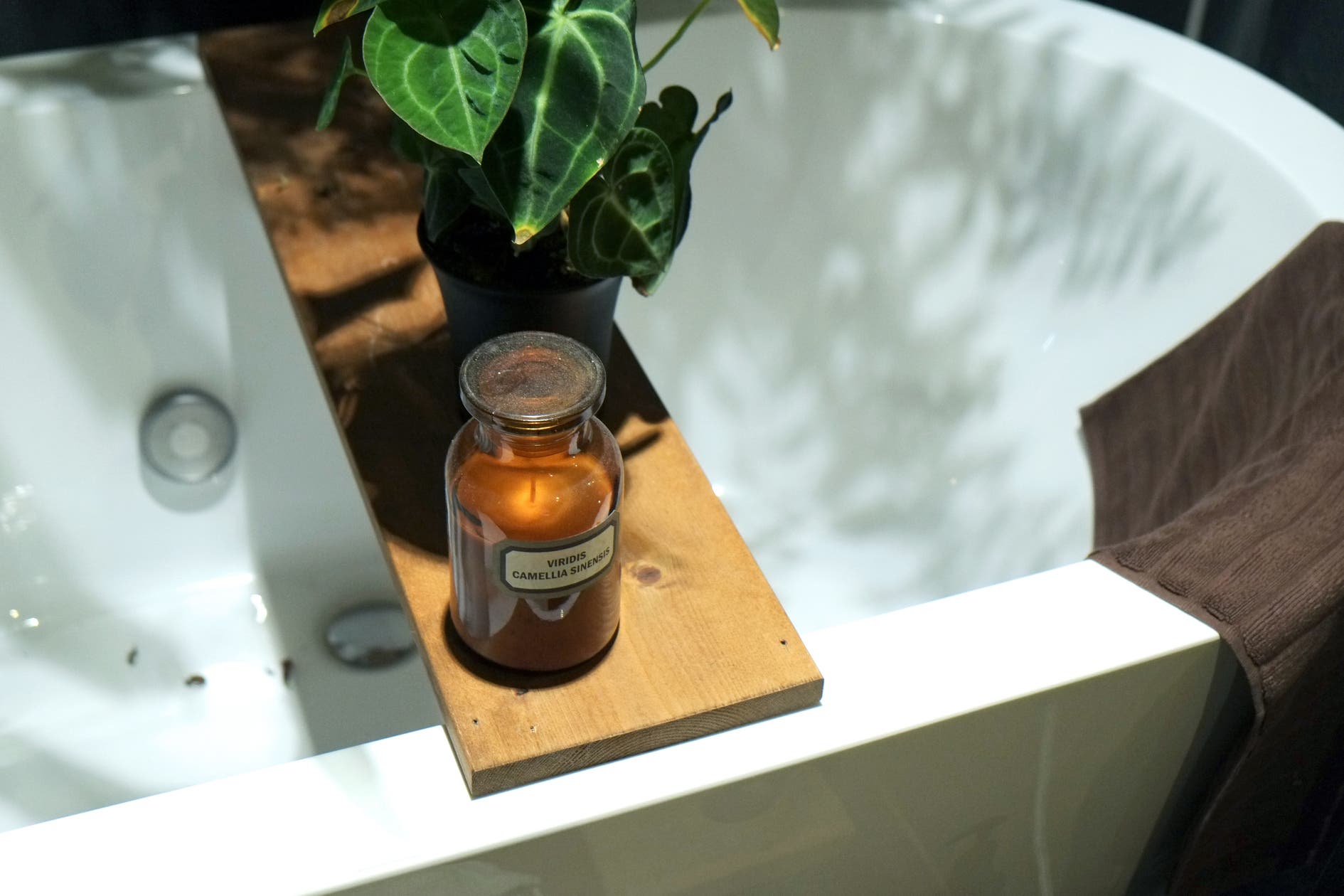 【浅草】築70年の古民家｜緑溢れる空間でワークショップや教室、撮影利用に。の写真11