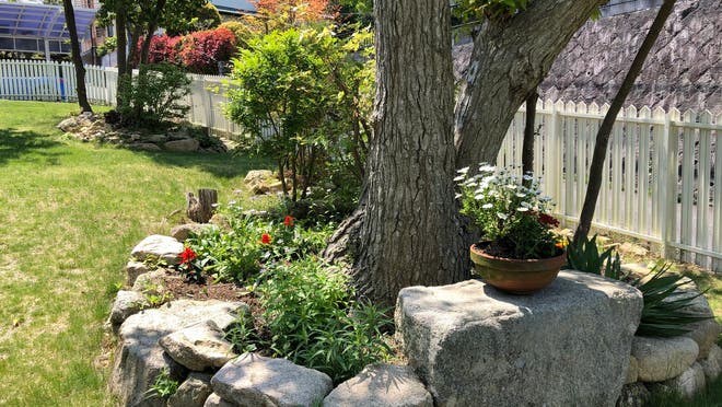 G&F's club 貸し切りプライベートガーデンで家族、愛犬、仲間と過ごすリラグゼーションスペースの写真19