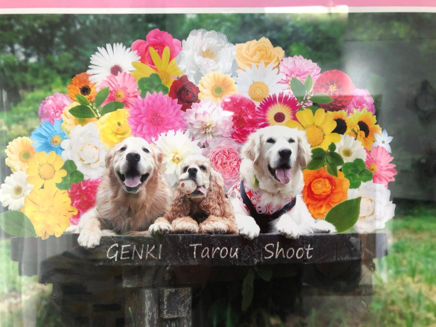 G&F's club 貸し切りプライベートガーデンで家族、愛犬、仲間と過ごすリラグゼーションスペースの写真27