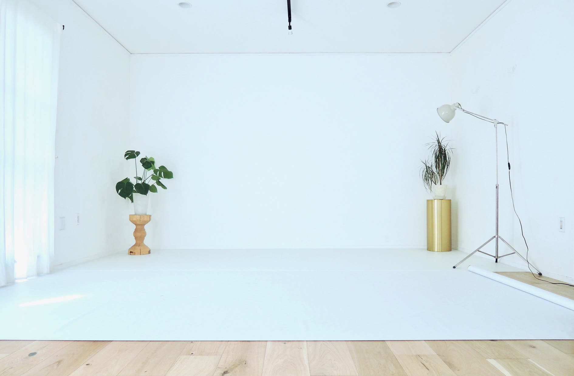 撮影用広幅ホワイトシートの画像1