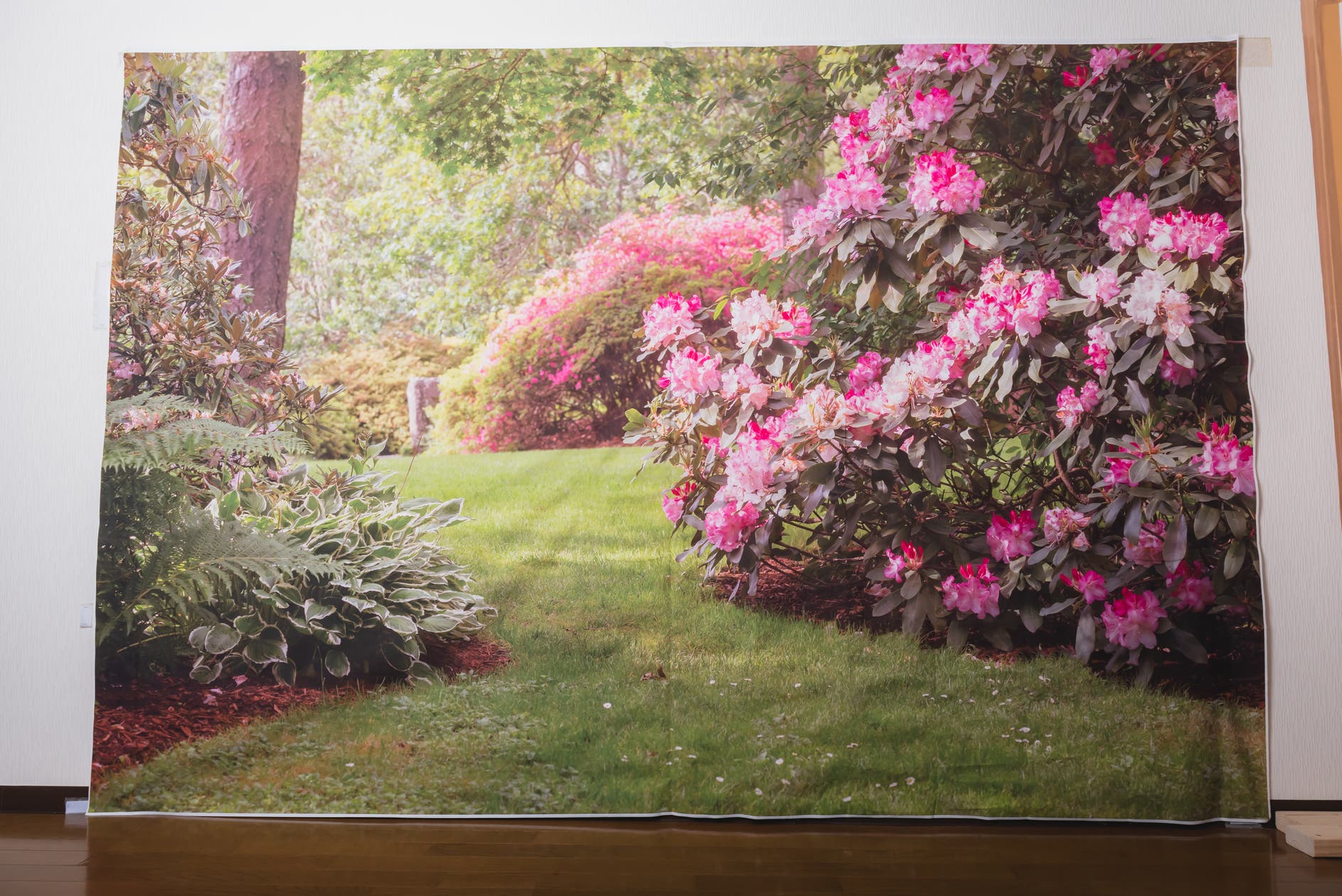 【PhotoStudioLink】栃木県/下野市/雀宮/レンタルスペース/写真撮影の写真5