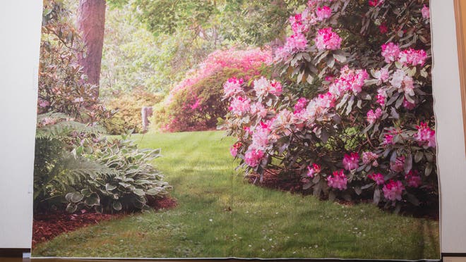 【PhotoStudioLink】栃木県/下野市/雀宮/レンタルスペース/写真撮影の写真5