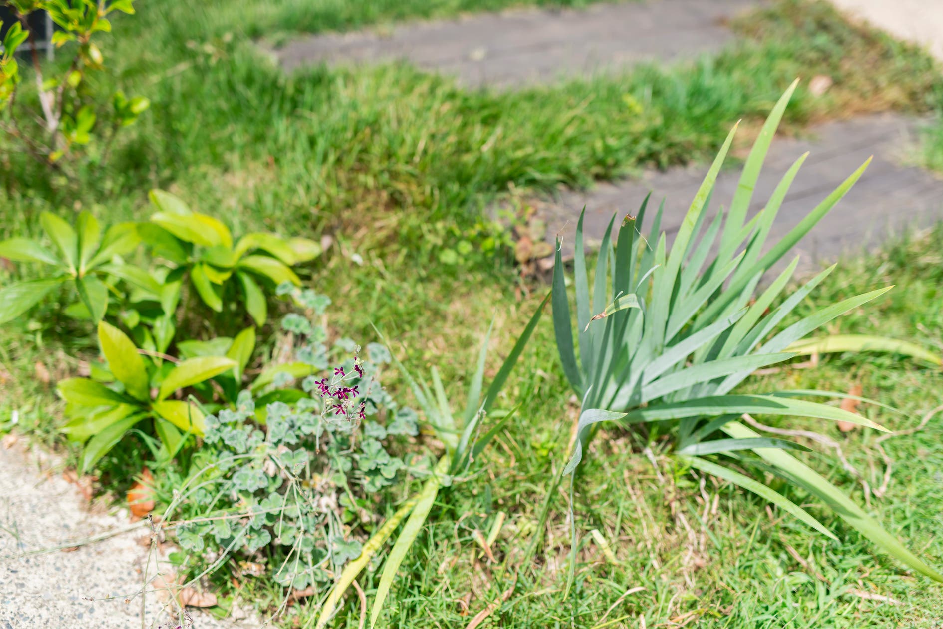 鎌倉駅から徒歩10分　二部屋使える里庭のあるレンタルスペースですの写真7
