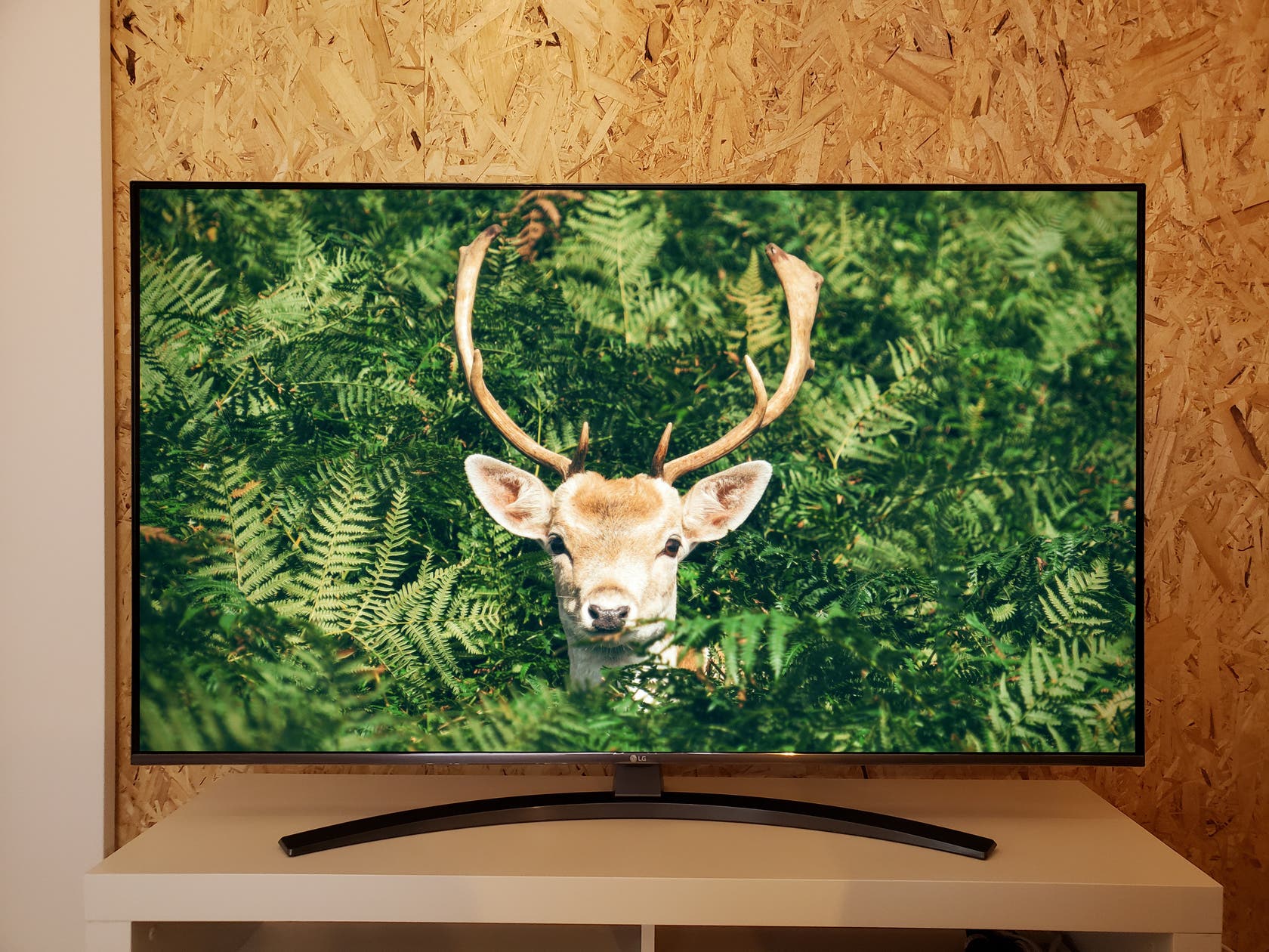 【ラパーク岸和田から徒歩3分】無料駐車場2台あり✨女子会/お家デート/誕生日会/タコパ/鍋パ/鑑賞会/セミナーの写真4