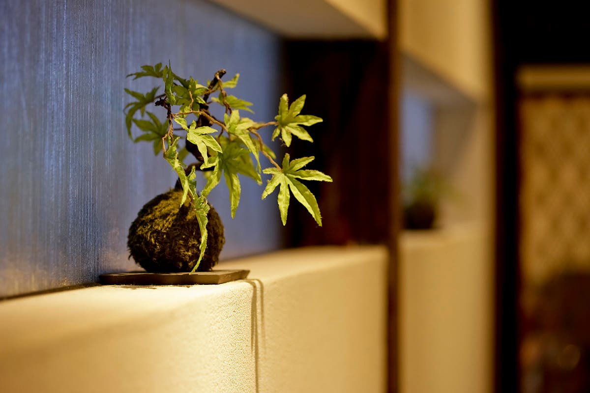 【人気の谷根千 駅徒歩３分 】 『千駄木露地イタリアン』を営業していた 築100年の古民家リノベーションスペースの写真17