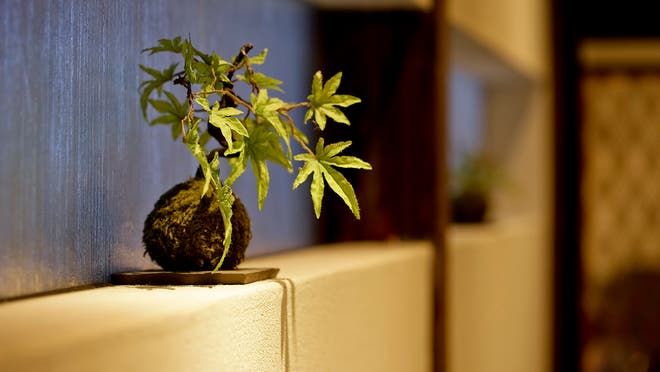 【人気の谷根千 駅徒歩3分 】 『千駄木露地イタリアン』を営業していた 築100年の古民家リノベーションスペースの写真17