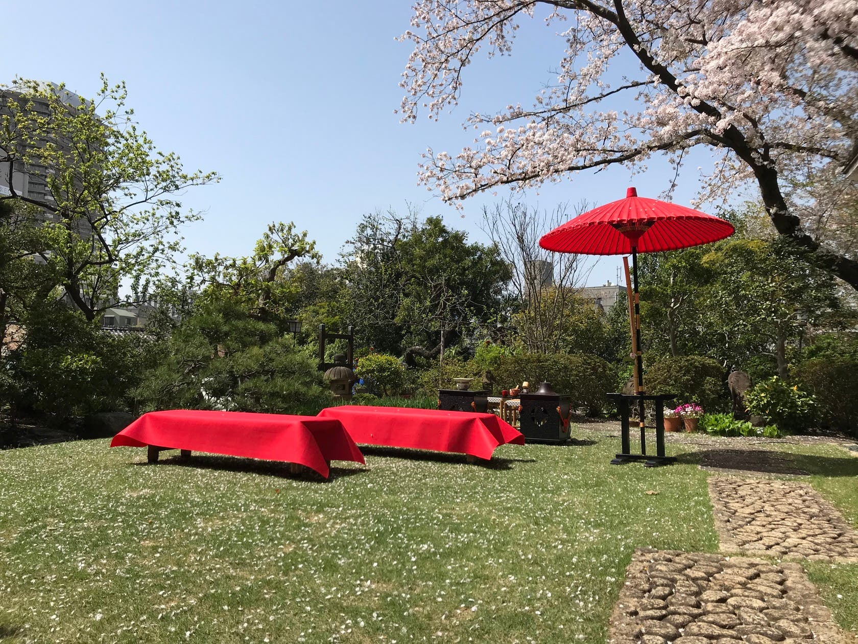 野点セット（立礼式）の画像3