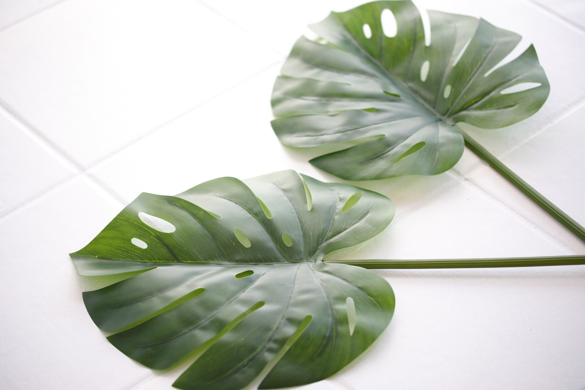 【奥渋フォトスタジオ　Two Me 】自然光での撮影できる！白タイル（床）白壁、小さなスタジオの写真13