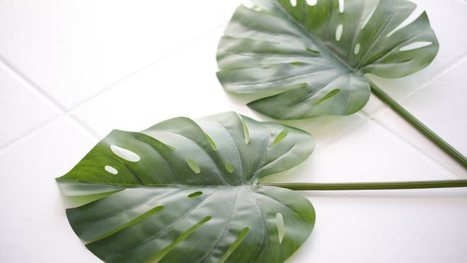 【奥渋フォトスタジオ Two Me 】自然光での撮影できる!白タイル(床)白壁、小さなスタジオの写真13