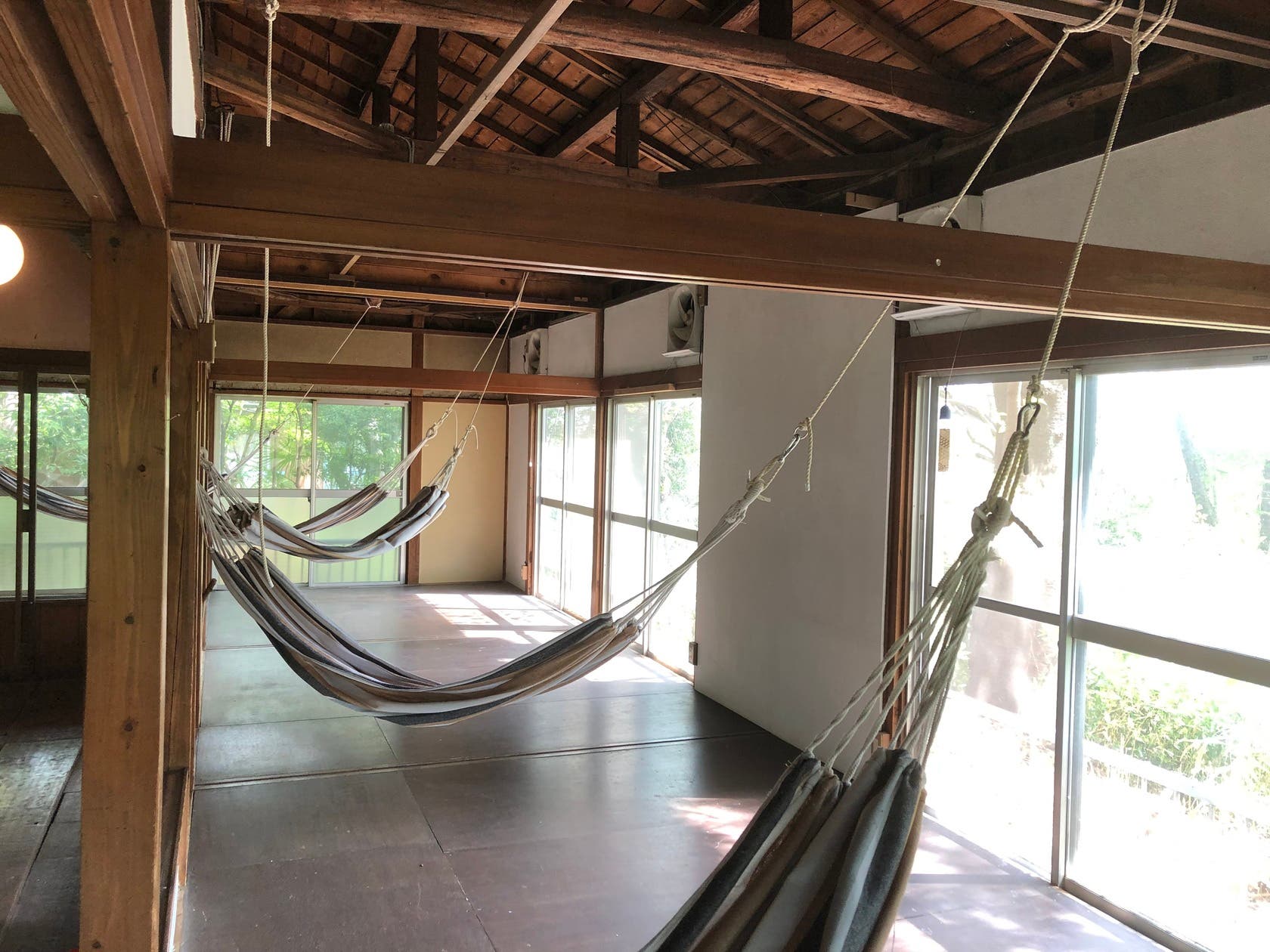 ハンモック利用の画像1