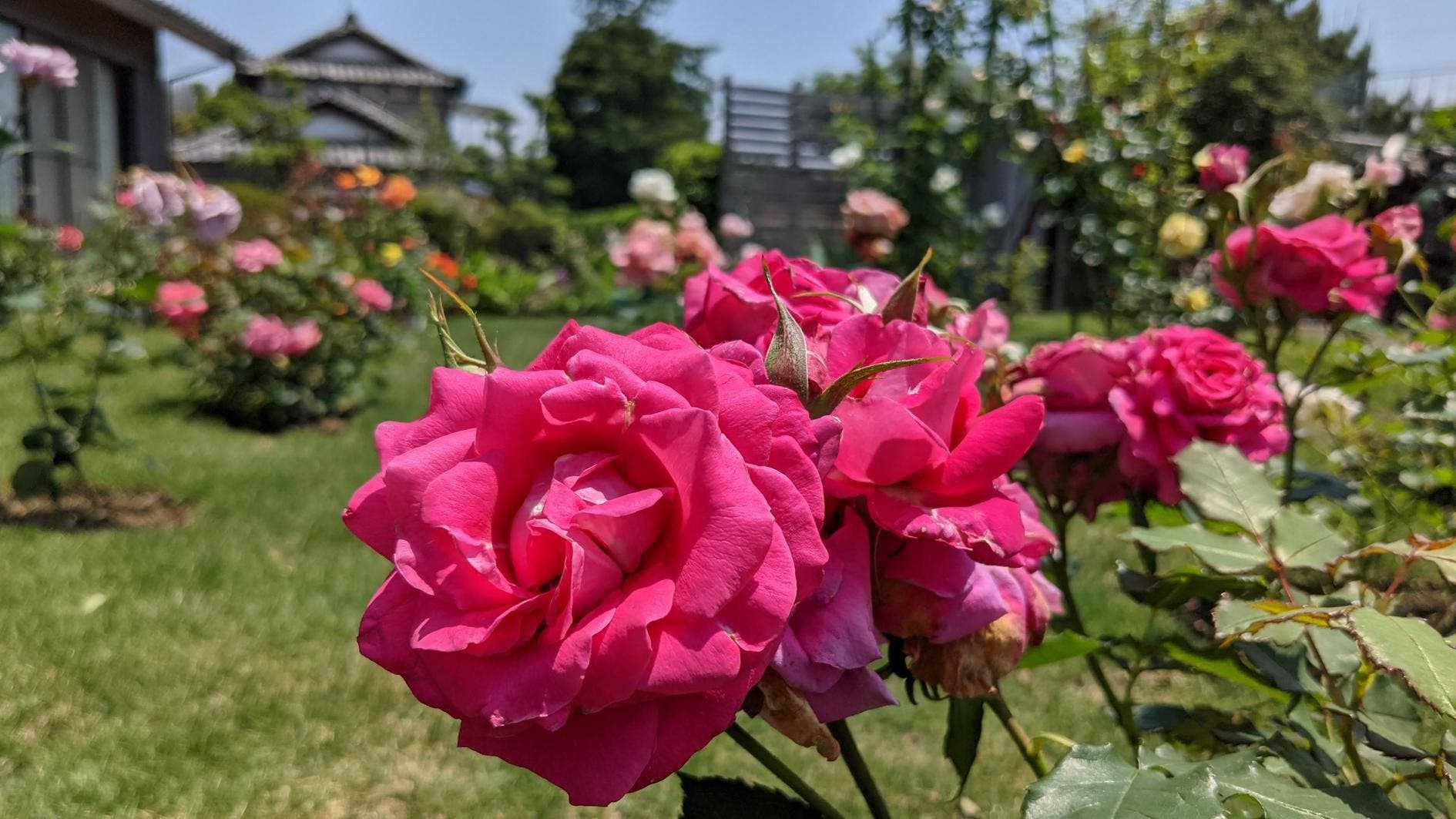 【撮影やパーティ利用が人気！】薪ストーブのある広いリビング、茶器を備えた和室のある大邸宅☆撮影利用が人気です！の写真15