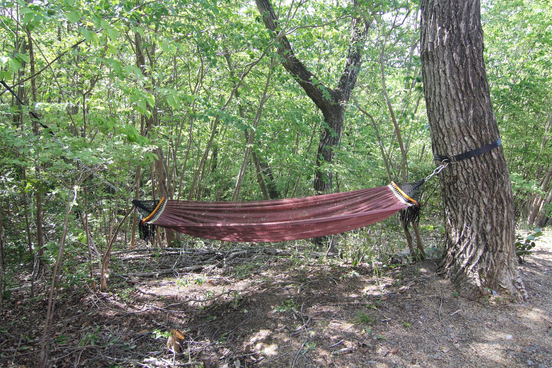 【１日１組限定】ログハウス付貸切BBQプライベートキャンプ場！グランピングの写真4