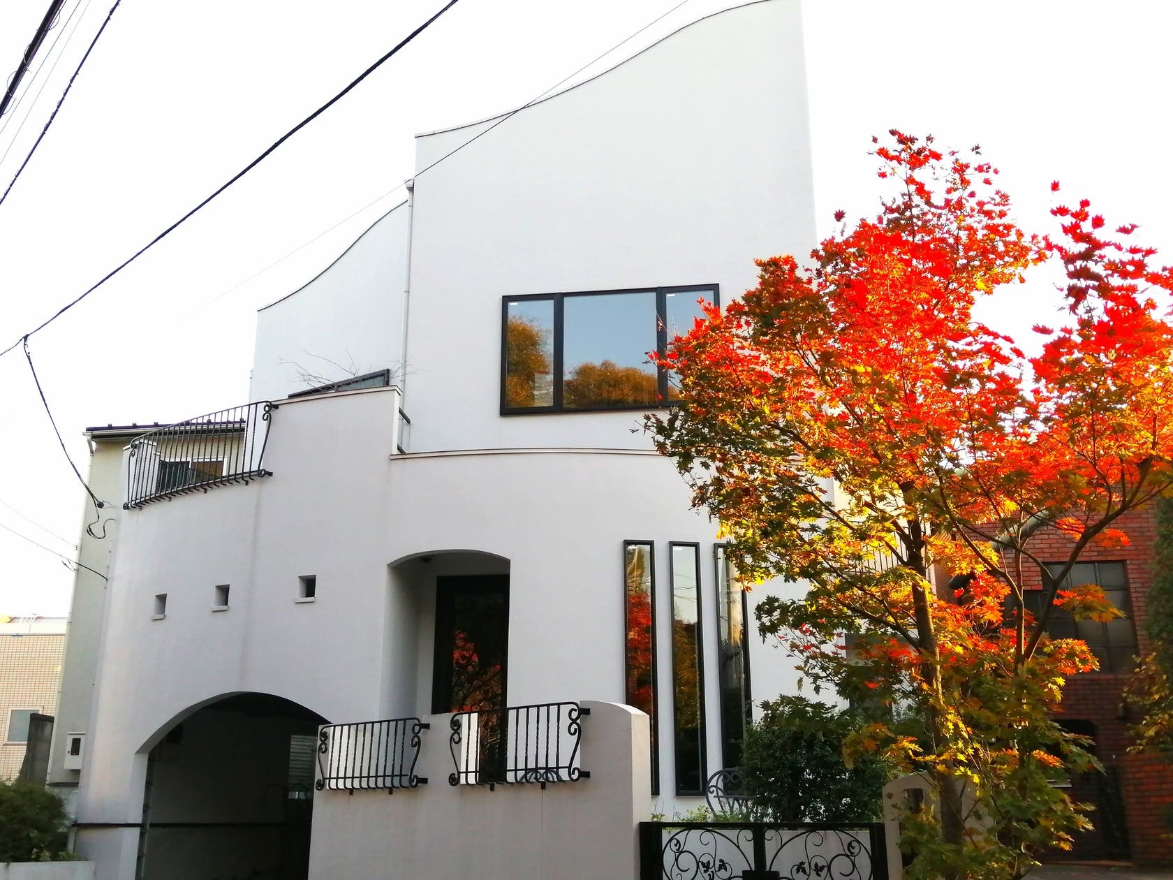 東京都中野駅からほど近い 紅葉山公園のほとりにたたずむ ミニギャラリースペースの写真3