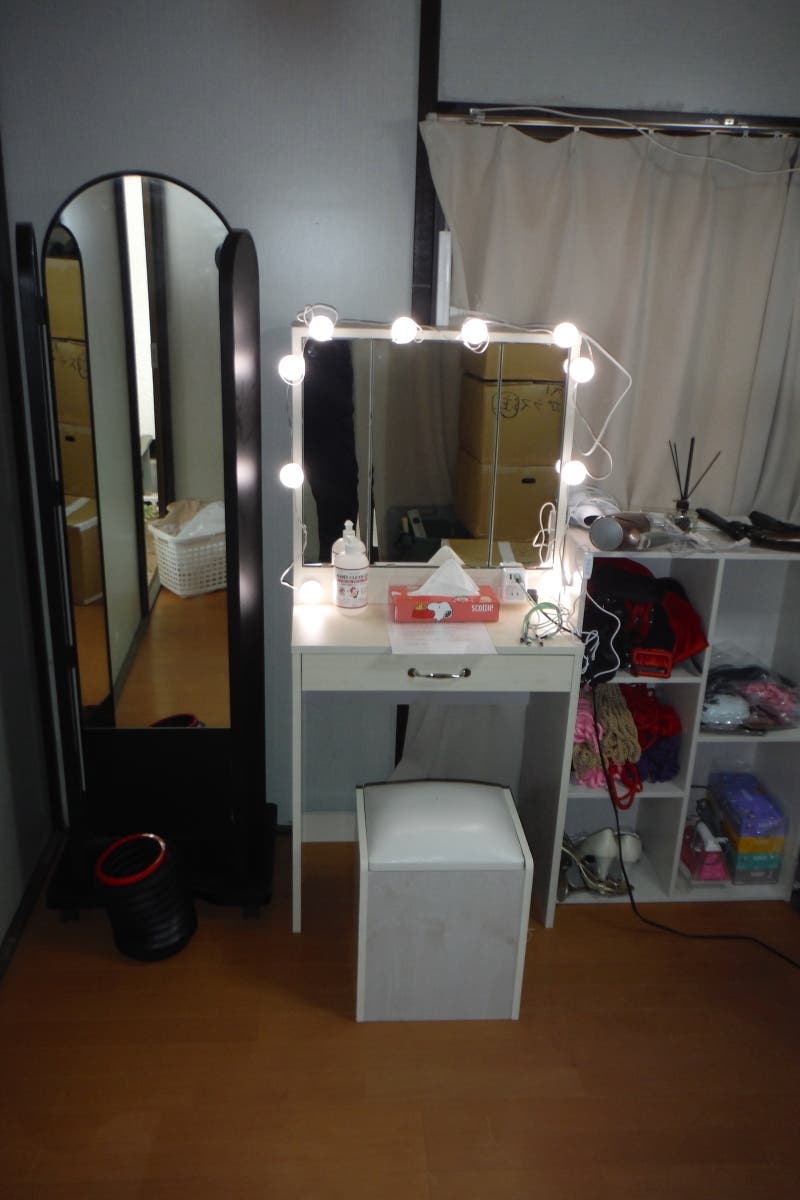 平成５年築170株のバラが咲く庭、全室南向きの民家スタジオですの写真15