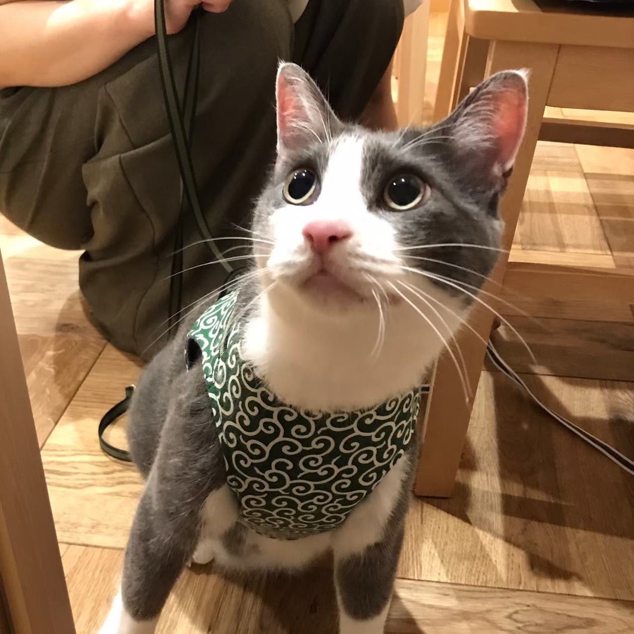 志木駅徒歩1分！レンタルスペース Campusの写真16