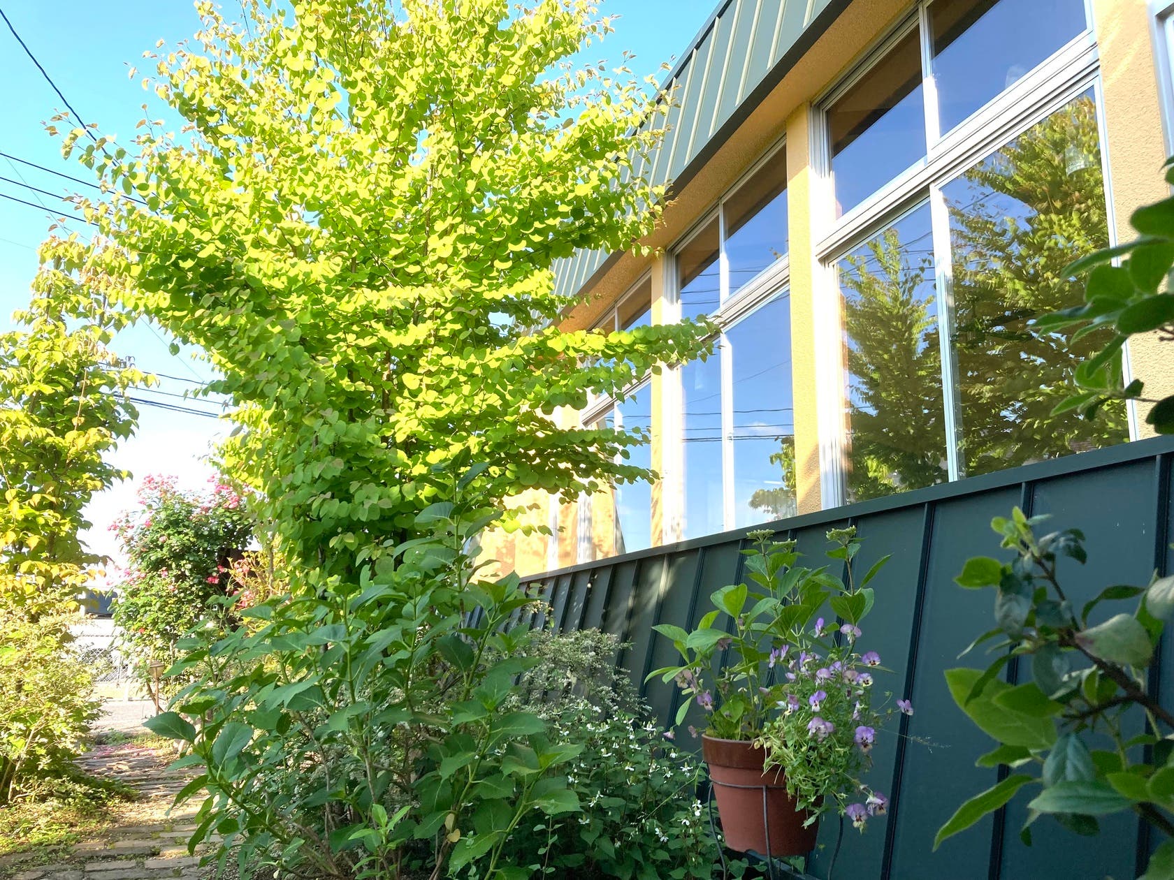 【駐車場無料】ウイリアム・モリスのダンスガーデン！広くてレトロシックな非日常空間は撮影！パーティ！ダンスに！花と緑の庭で撮影も！の写真17