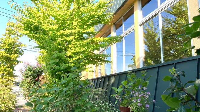 【駐車場無料】ウイリアム・モリスのダンスガーデン!広くてレトロシックな非日常空間は撮影!パーティ!ダンスに!花と緑の庭で撮影も!の写真17