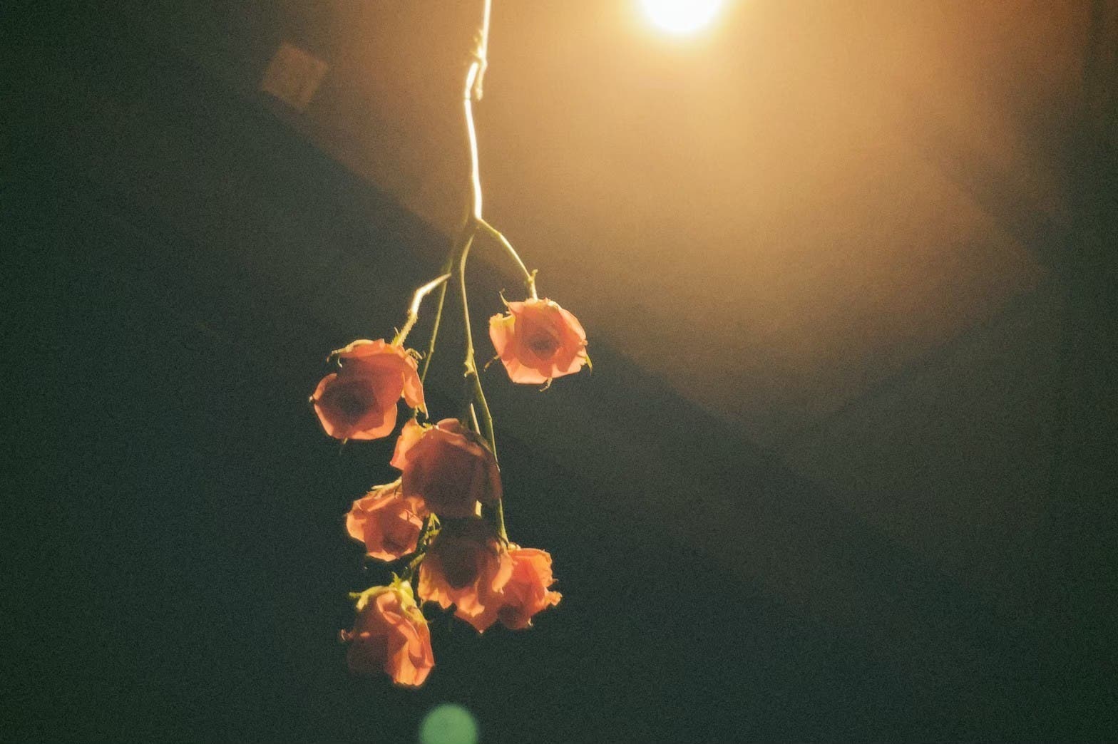 真っ黒なリノベーションギャラリー。商用利用から私的利用まで自由な利用◎の写真12