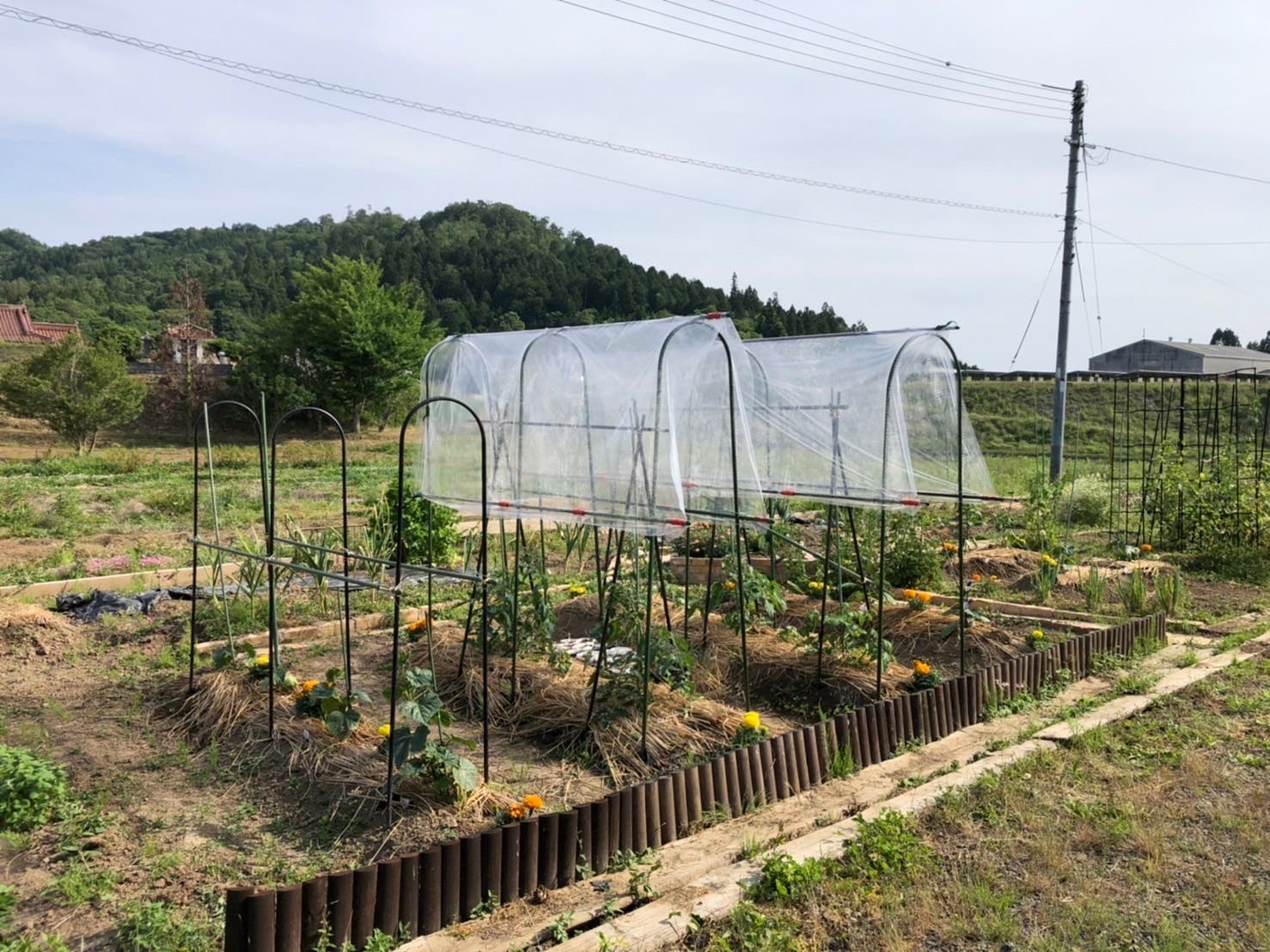 築120年の古民家で過ごす特別な時間 『宙と廷』の写真5