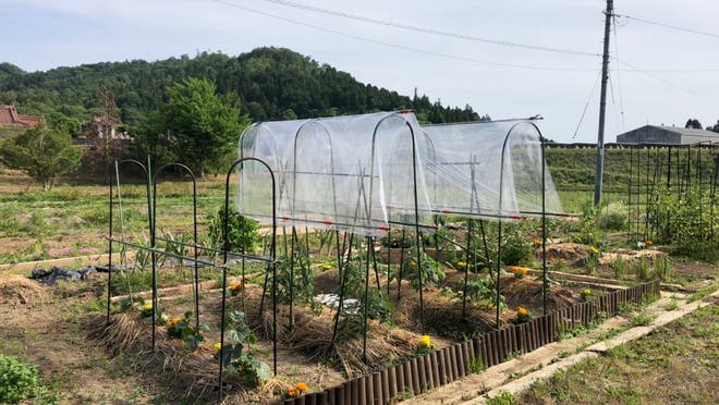 築120年の古民家で過ごす特別な時間 『宙と廷』の写真5