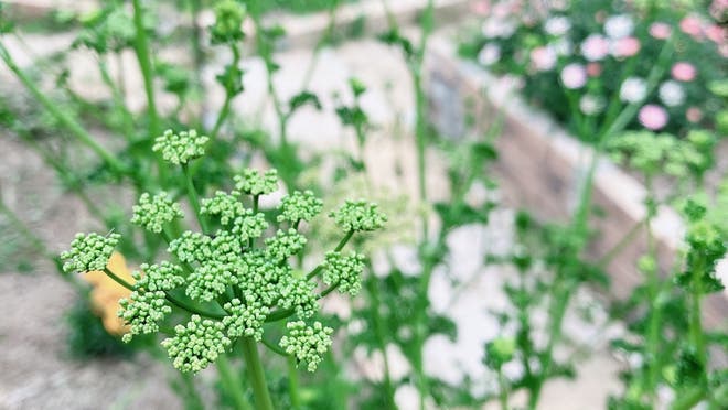 築120年の古民家で過ごす特別な時間 『宙と廷』の写真6