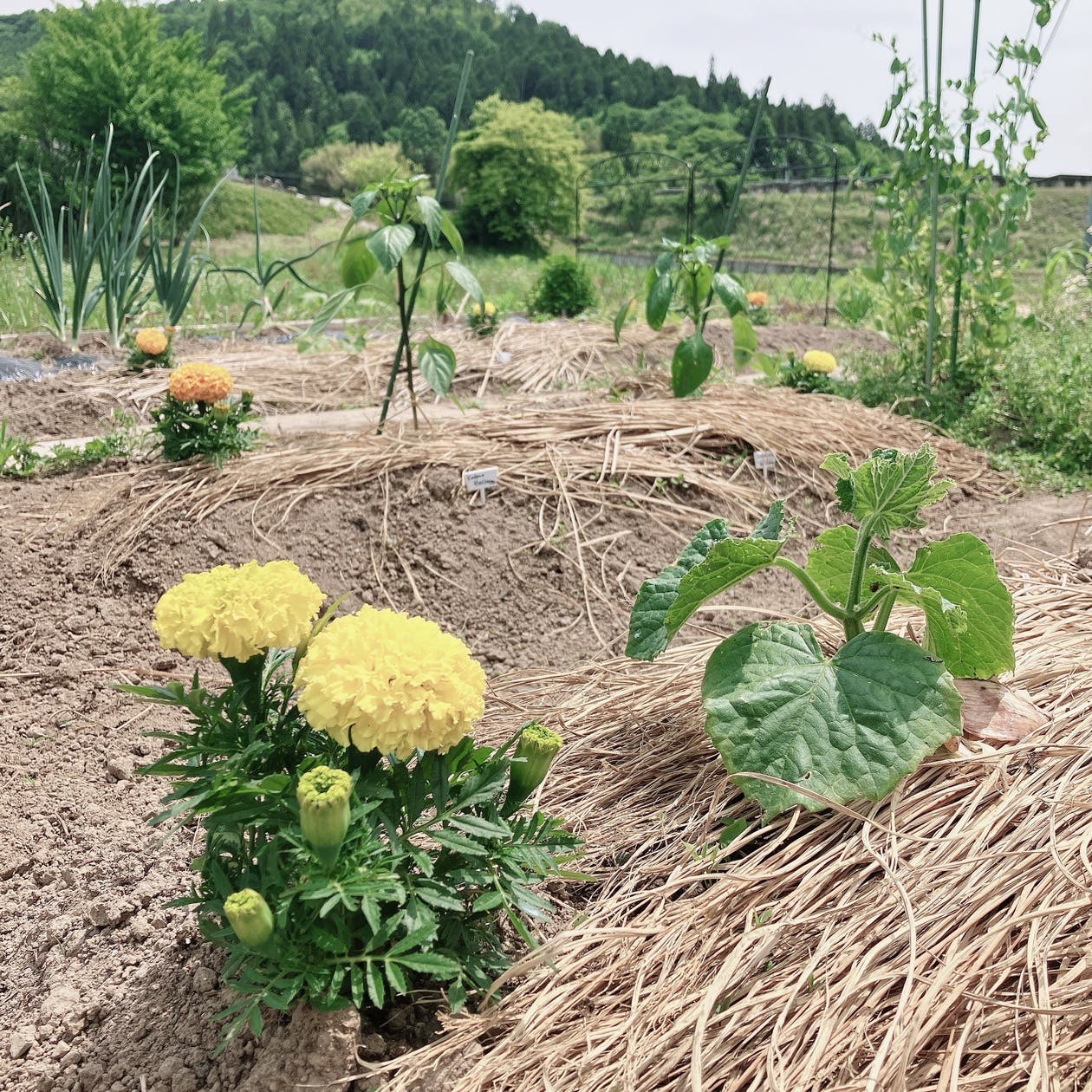 築120年の古民家で過ごす特別な時間 『宙と廷』の写真7