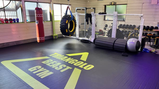 格闘技、ダンス、ヨガ、撮影を行うのにおすすめ トレーニングスペース 駐車場完備 の写真2