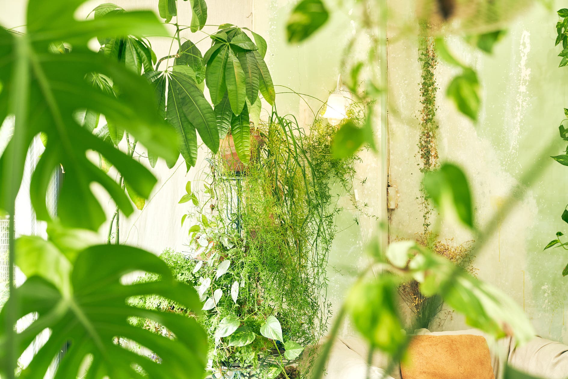 STUDIO67 River【駅徒歩7分】グリーンに癒される ガーリーでフレンチシックなスタジオ。パーキングスペース有！の写真8