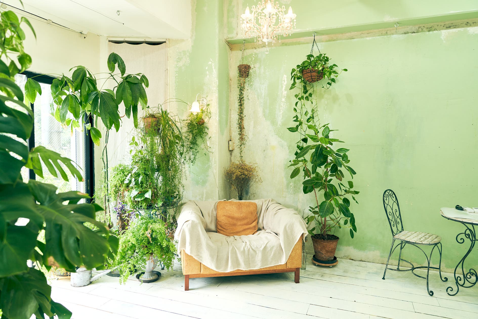 STUDIO67 River【駅徒歩7分】グリーンに癒される ガーリーでフレンチシックなスタジオ。パーキングスペース有！の写真7