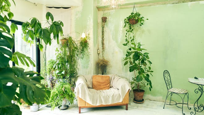 STUDIO67 River【駅徒歩7分】グリーンに癒される ガーリーでフレンチシックなスタジオ。パーキングスペース有!の写真7