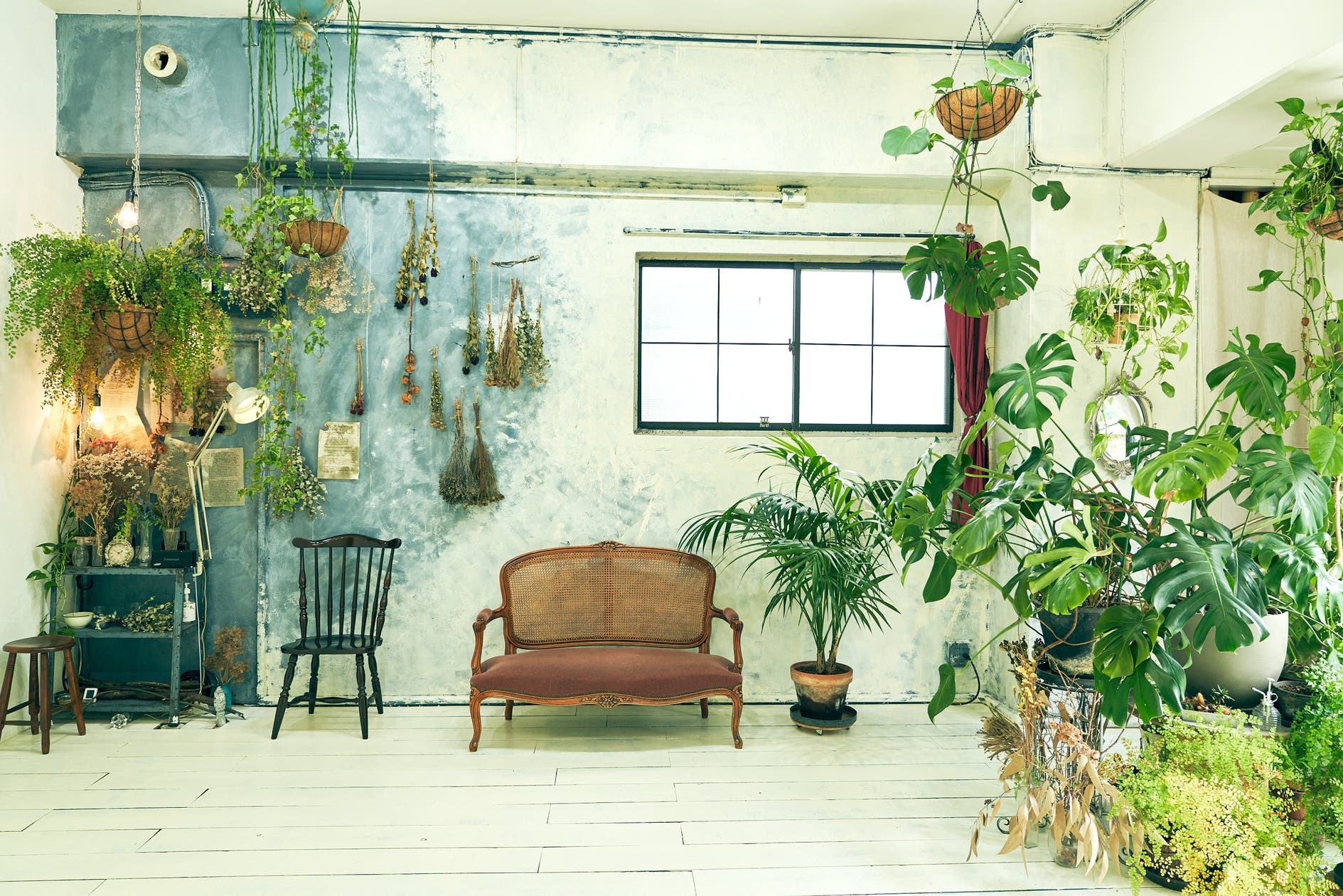 STUDIO67 River【駅徒歩7分】グリーンに癒される ガーリーでフレンチシックなスタジオ。パーキングスペース有！の写真4