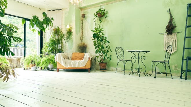 STUDIO67 River【駅徒歩7分】グリーンに癒される ガーリーでフレンチシックなスタジオ。パーキングスペース有!の写真6