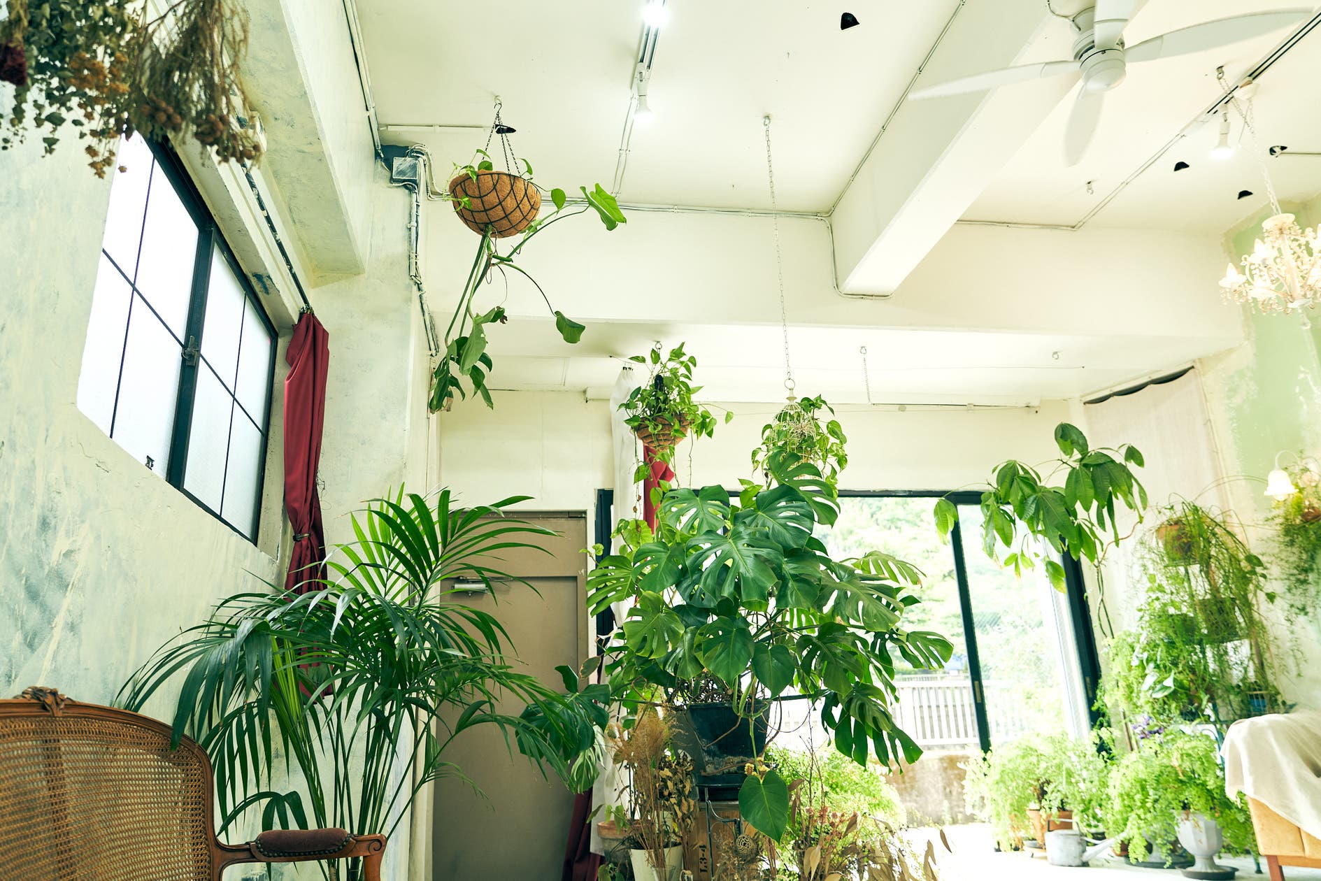 STUDIO67 River【駅徒歩7分】グリーンに癒される ガーリーでフレンチシックなスタジオ。パーキングスペース有！の写真9