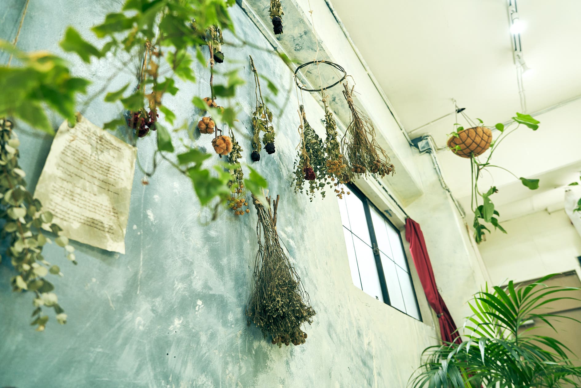 STUDIO67 River【駅徒歩7分】グリーンに癒される ガーリーでフレンチシックなスタジオ。パーキングスペース有！の写真14