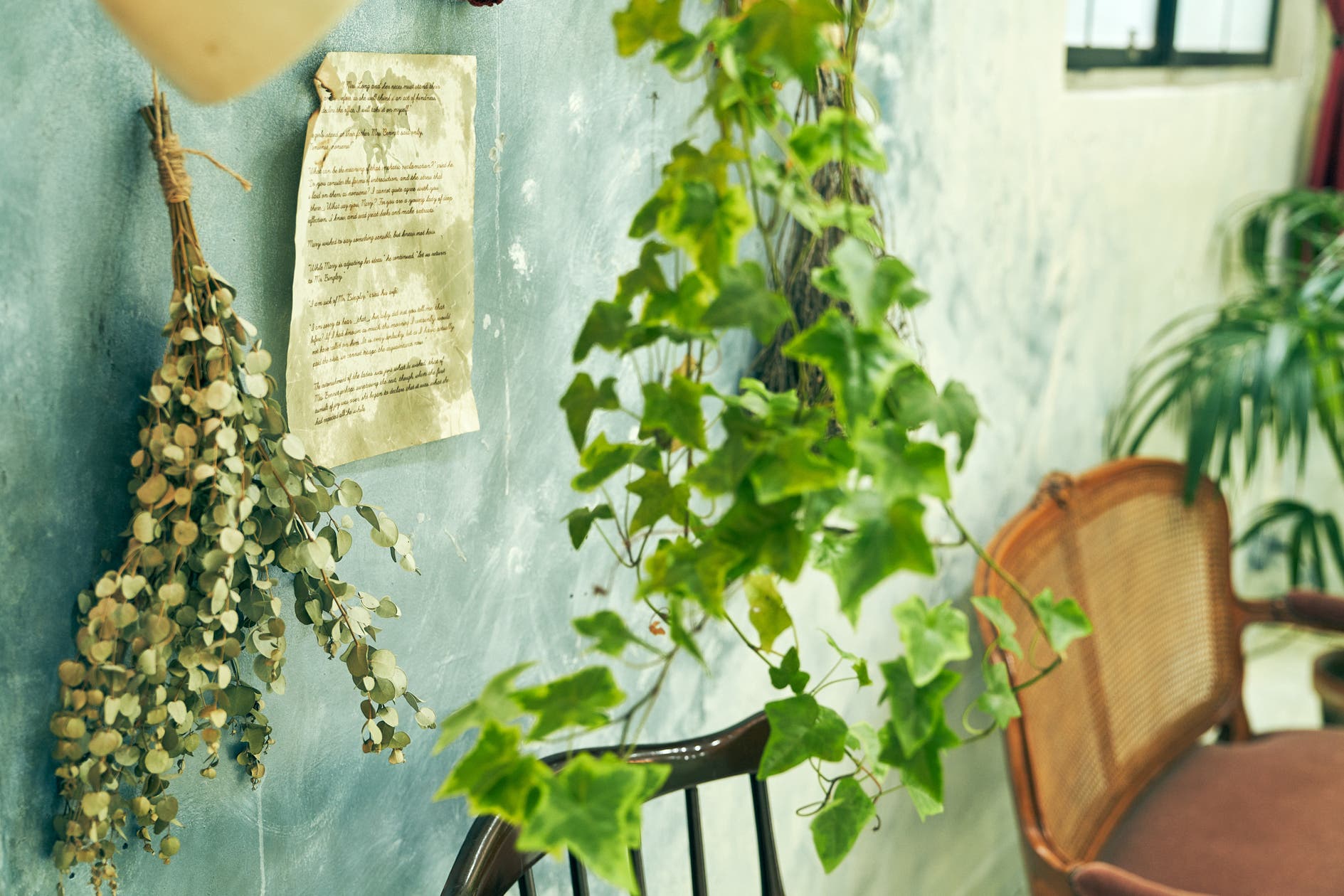 STUDIO67 River【駅徒歩7分】グリーンに癒される ガーリーでフレンチシックなスタジオ。パーキングスペース有！の写真15