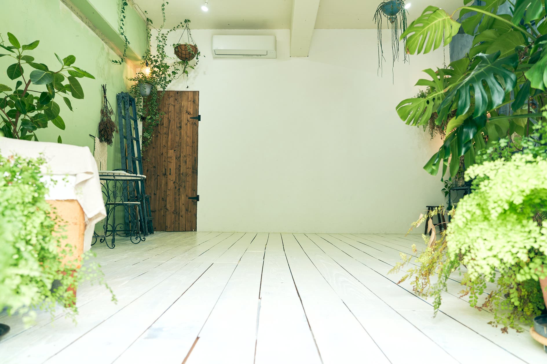 STUDIO67 River【駅徒歩7分】グリーンに癒される ガーリーでフレンチシックなスタジオ。パーキングスペース有！の写真11