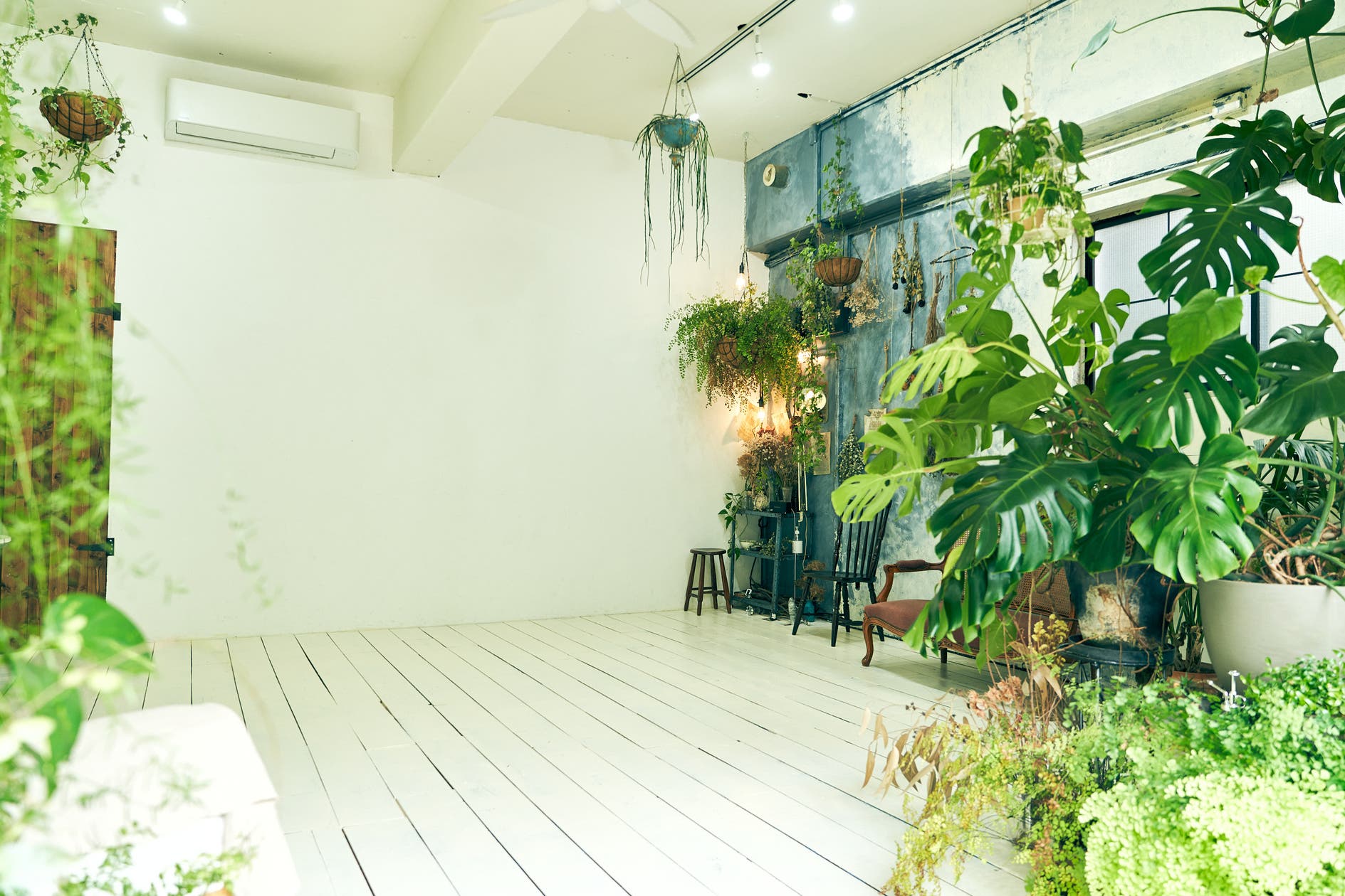 STUDIO67 River【駅徒歩7分】グリーンに癒される ガーリーでフレンチシックなスタジオ。パーキングスペース有！の写真12